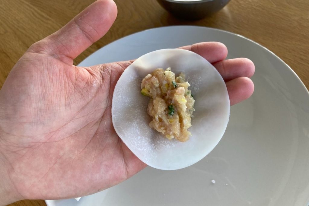 Chicken Gyoza: Delicious Japanese Dumplings | Cardamom Magazine