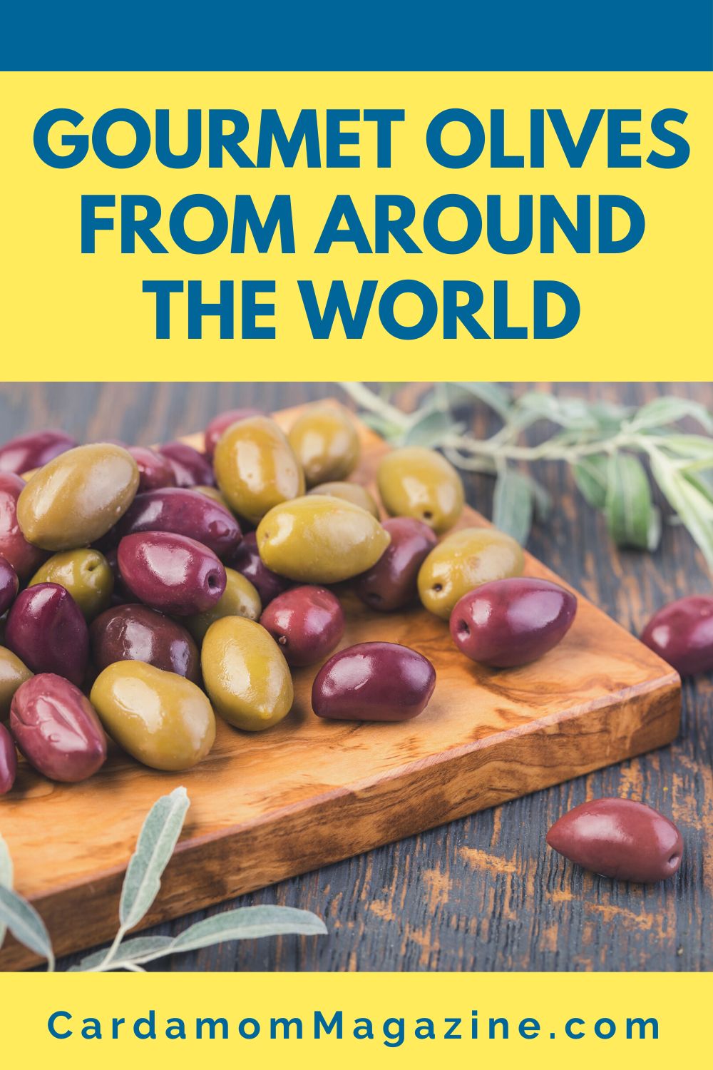 Gourmet Olives Around the World | Cardamom Magazine